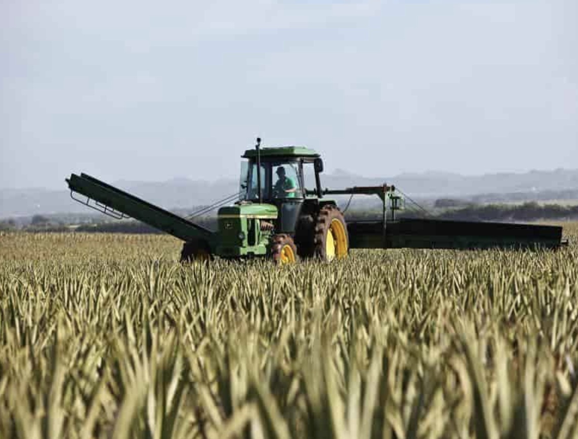 Devenir un agronome qualifié : étapes clés à suivre